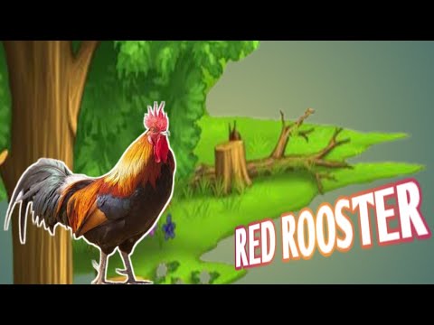 RED ROOSTER - YouTube