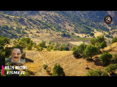 SELİM RECEBİ _ ESMER(NU)