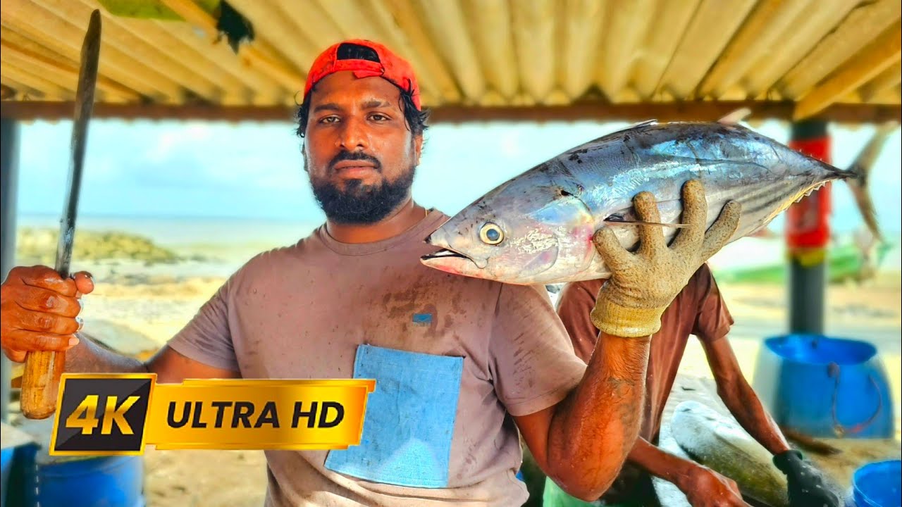 Fastest Tuna Fish Cutting Skill | Huge Skipjack Tuna Fish Cutting ...