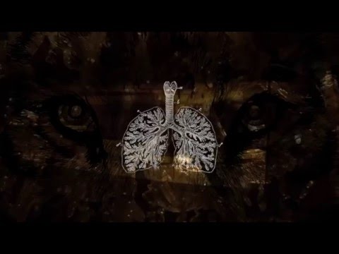 DeMc aka DrDe - fiori di gretel freestyle
