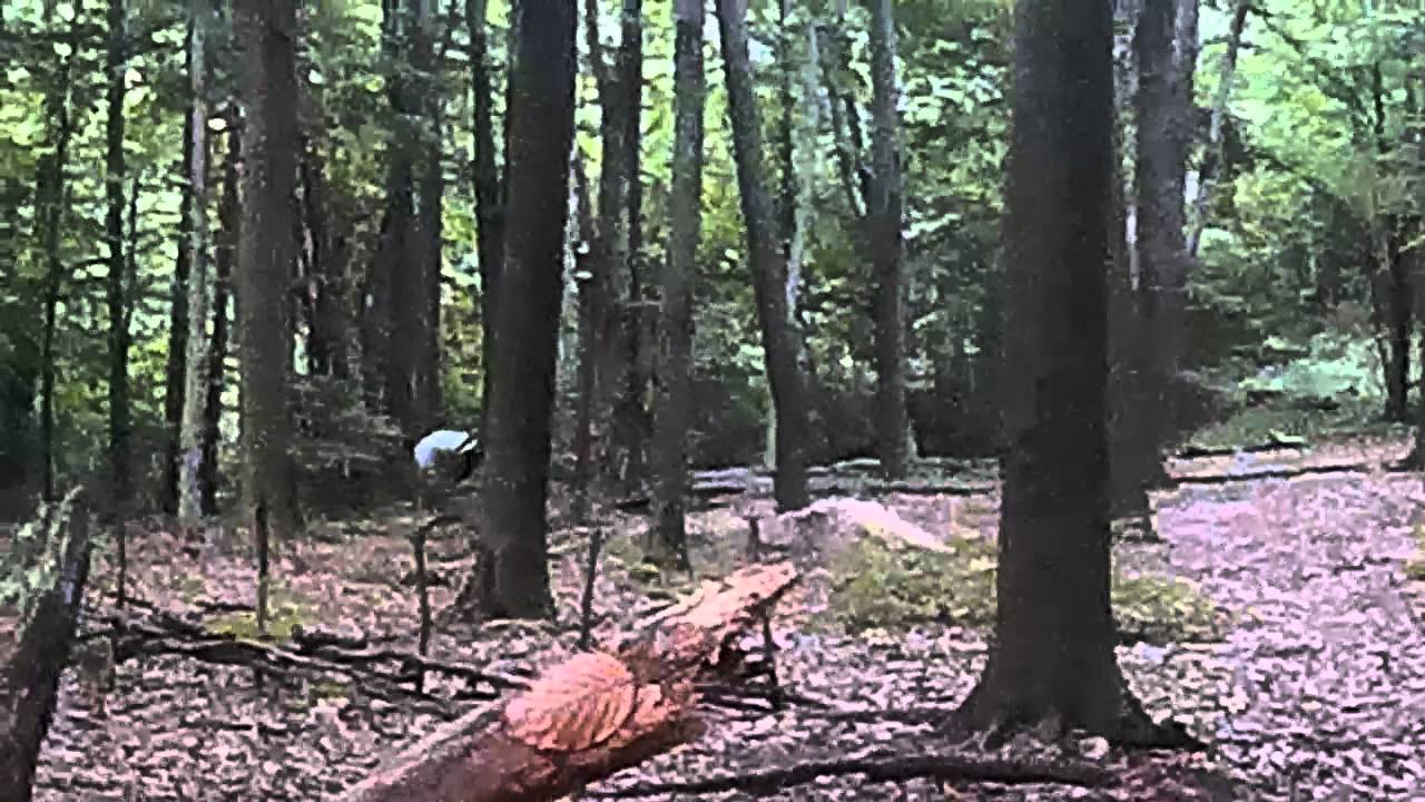 Epic fail on bicycle on springboard - YouTube