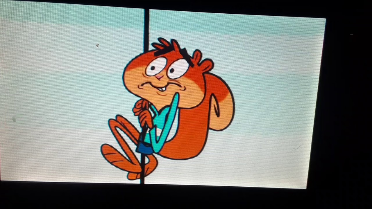 Scardy squirrel crying 5 - YouTube