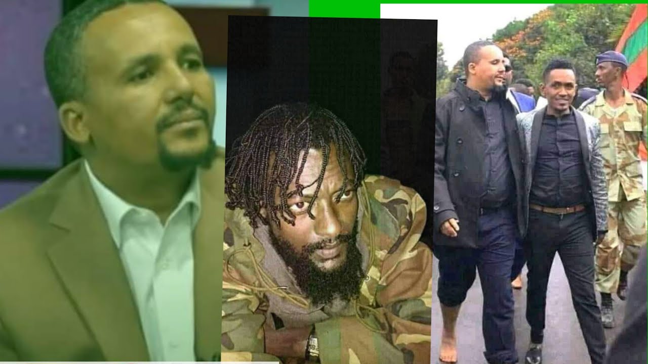 New Oromo music 2020 Yaa Gootota Oromoo by Weellisaa Muzee Abdee ...