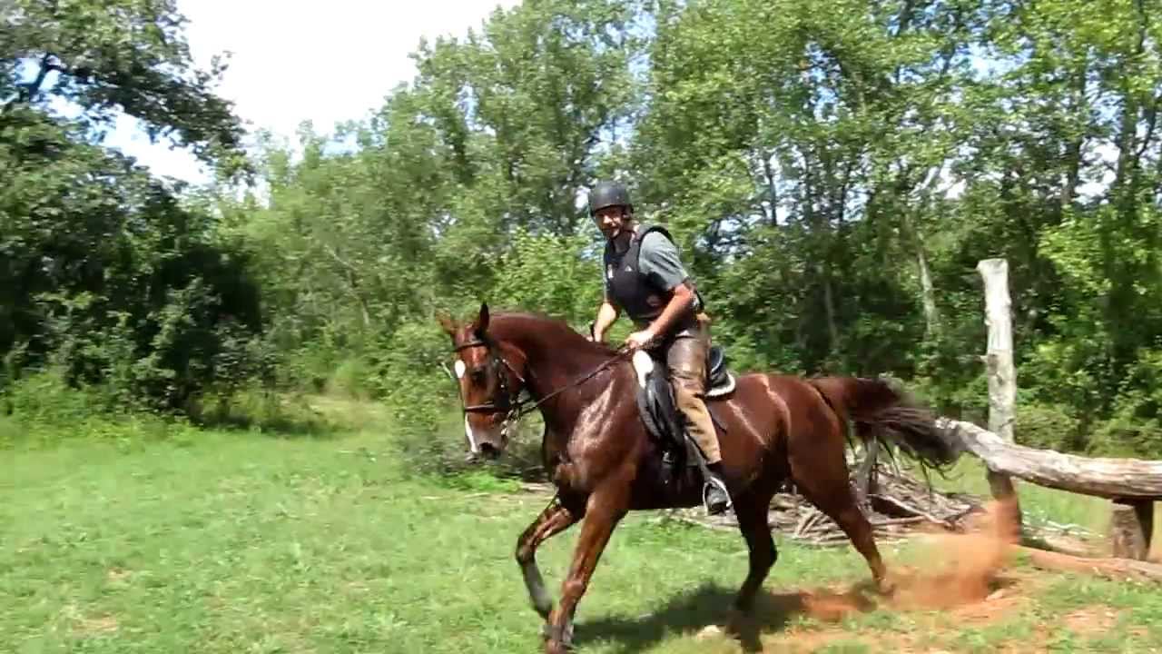 MVI 4071 YouTube mvi-4071-youtube