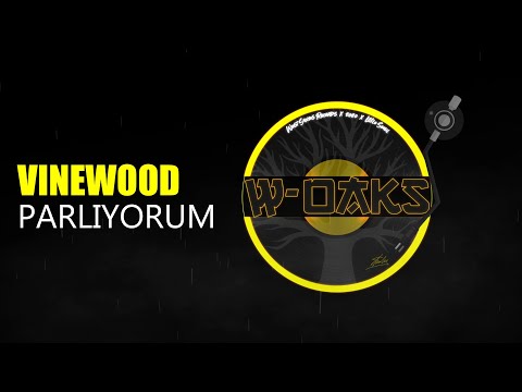 VINEWOOD - PARLIYORUM (Official Audio) | EightbornV