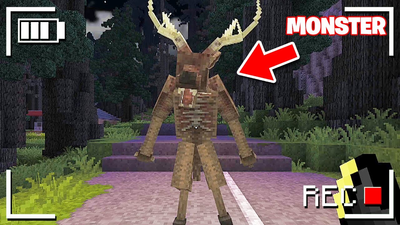 We Found a Scary MONSTER in the FOREST in Minecraft... - YouTube