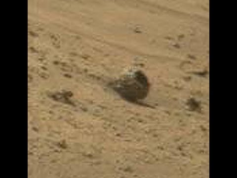 Strange Object on The Surface Of Mars Appears to be a Pod or Craft ...