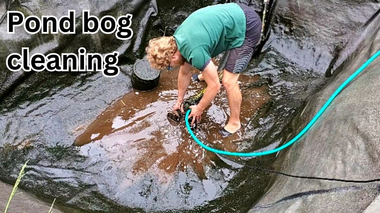 Cleaning out my ponds bog filters - YouTube