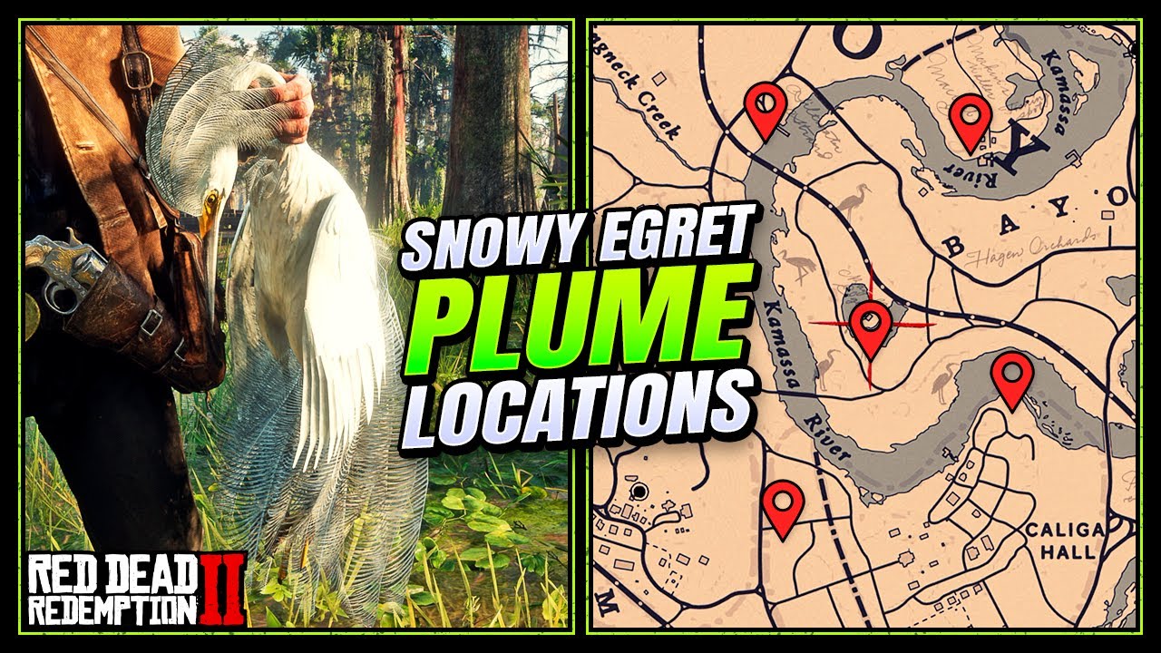 RDR2: Snowy Egret Plume Locations - FAST & EASY Guide (Duchesses ...