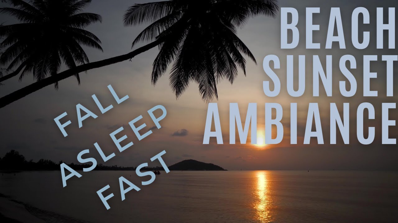 The Most Relaxing Beach Ambiance Video to Calm Your Mind - YouTube