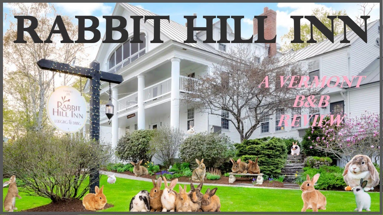 Rabbit Hill Inn B&B. A Lagomorphic Perspective. - YouTube