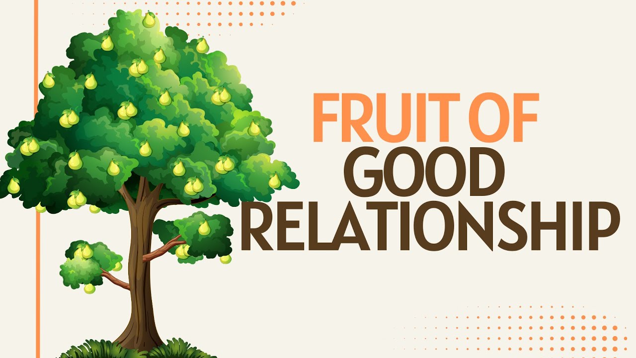 FRUIT GOOD RELATIONSHIP (February 25, 2024) - YouTube