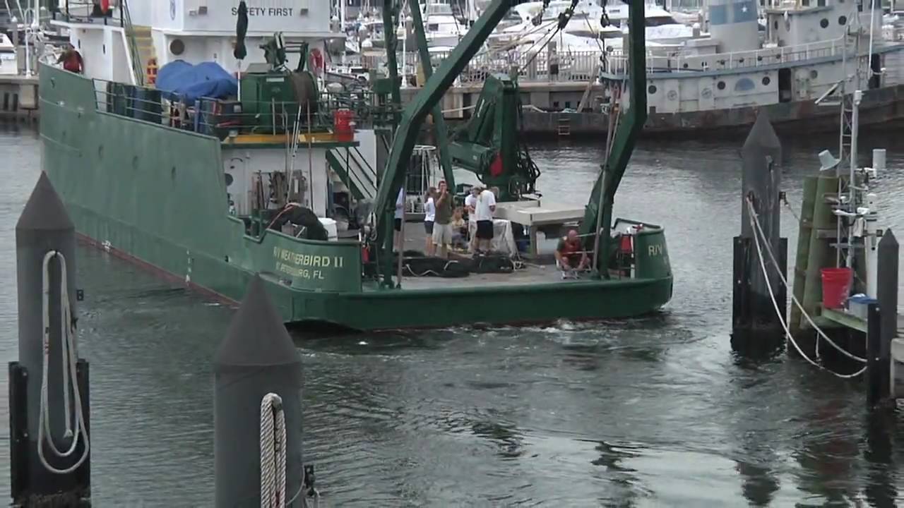 USF Weatherbird II - YouTube