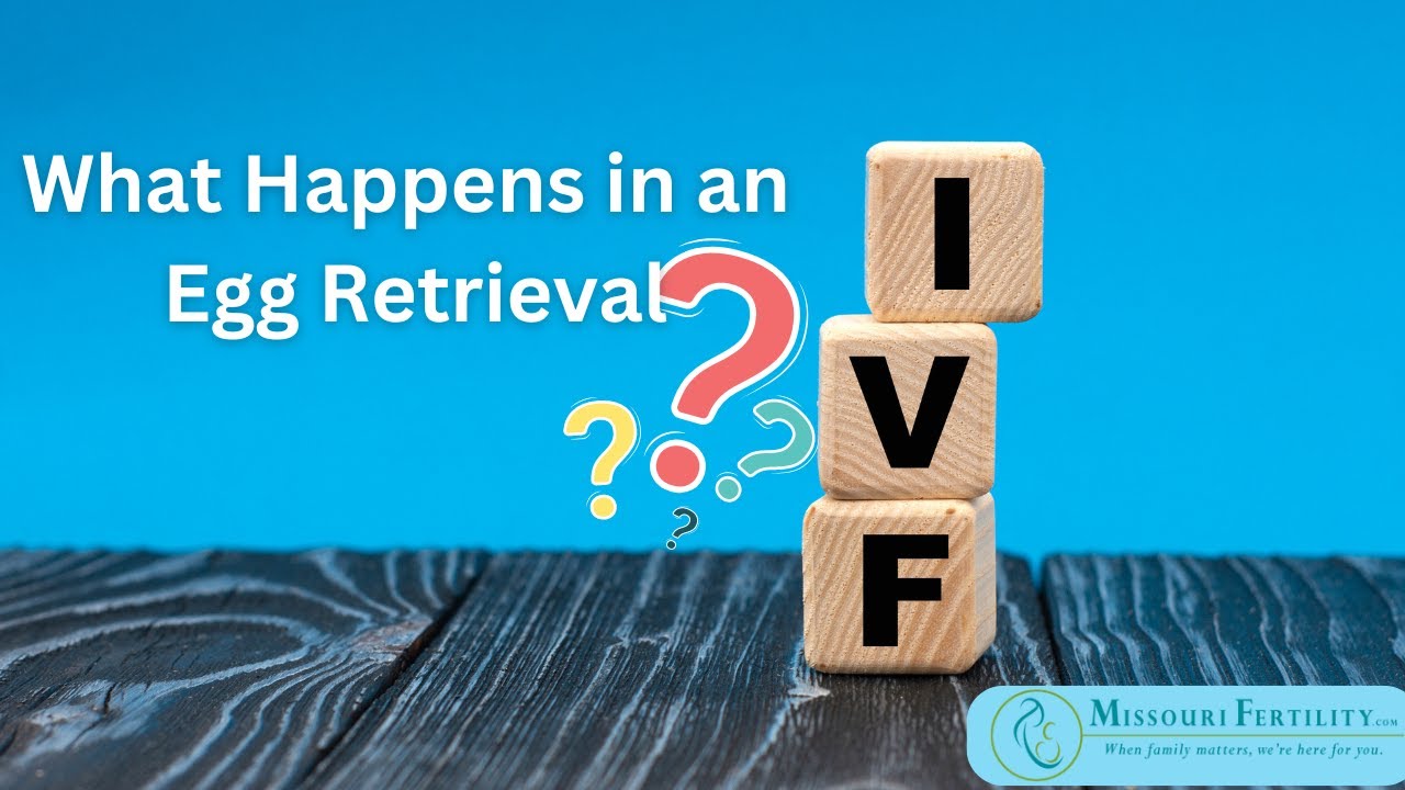 Egg Retrieval Procedure for IVF - YouTube