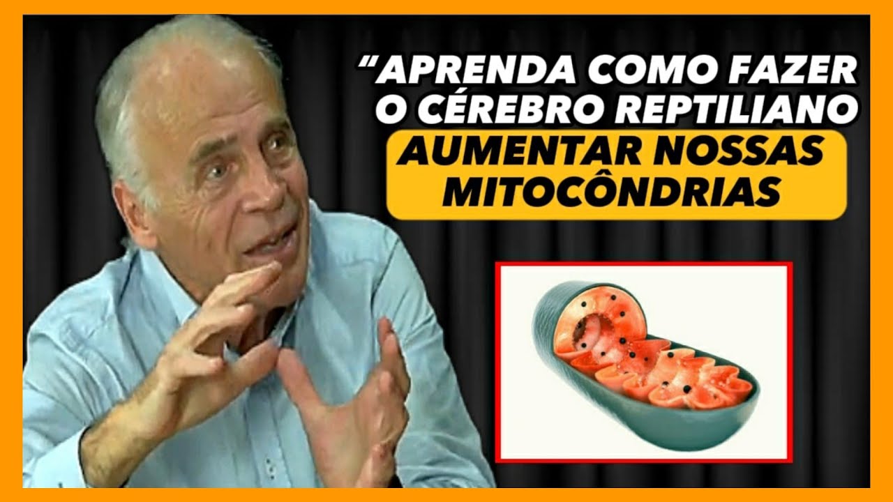 SE VOCÊ ESTÁ CANSADO VOCÊ ESTÁ DOENTE, ESTE É O PRIMEIRO SINAL | Dr ...