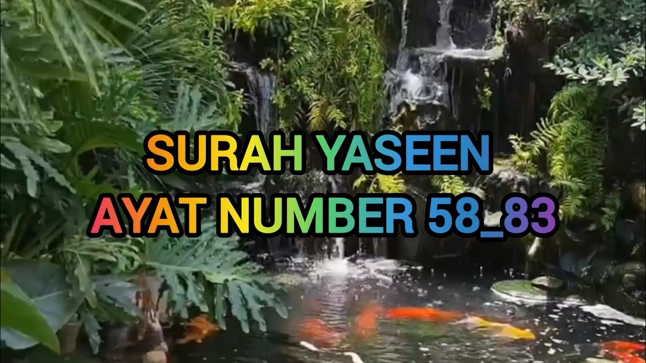 Surah Yaseen Aayat no.(58 _83) #islamicstatus #islamicvideo #hadees ...