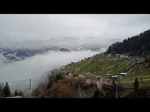 Serdar Ayyıldız & Seren Uzun - Pulim