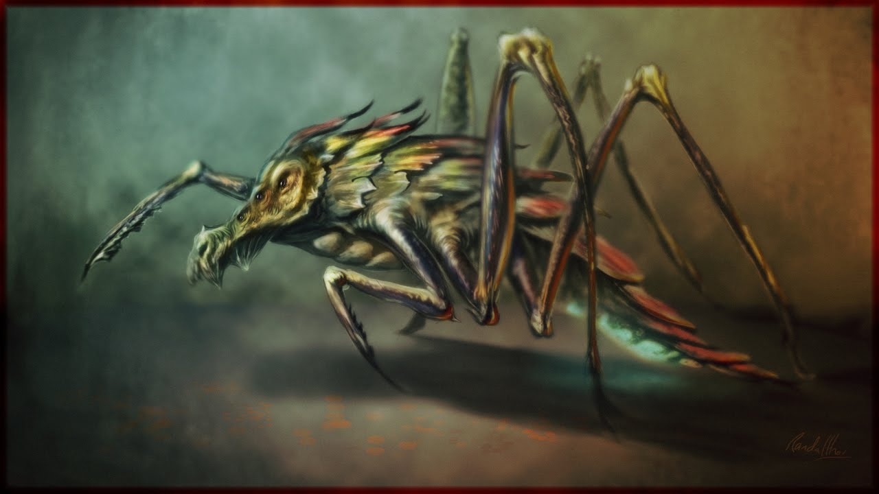 Creature Design - Quad Bug - Speedpaint (See Description) - YouTube