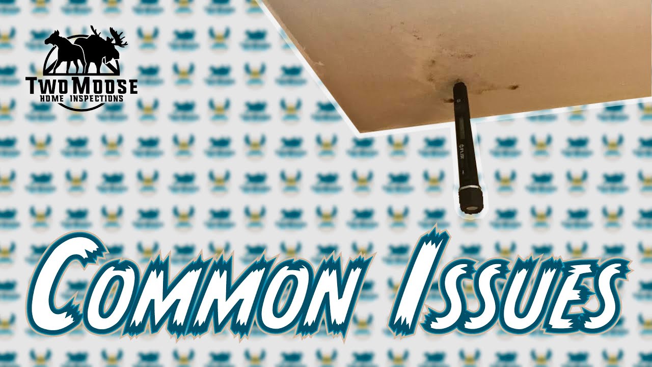 Ceiling Damaged by Moisture Inactive - Most Common Home Inspection ...