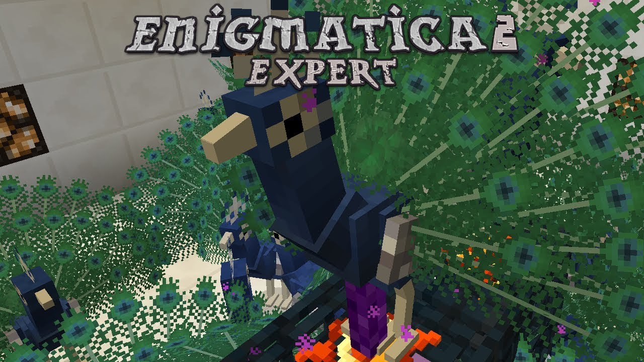 Enigmatica 2 Expert - COSMIC MEATBALLS [E99] (Modded Minecraft) - YouTube