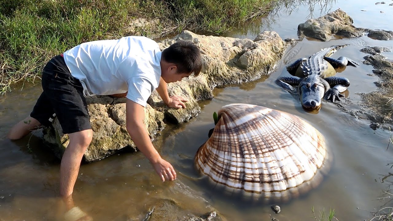 This is a very magical river clam, with the exquisite gemstone nurtured ...