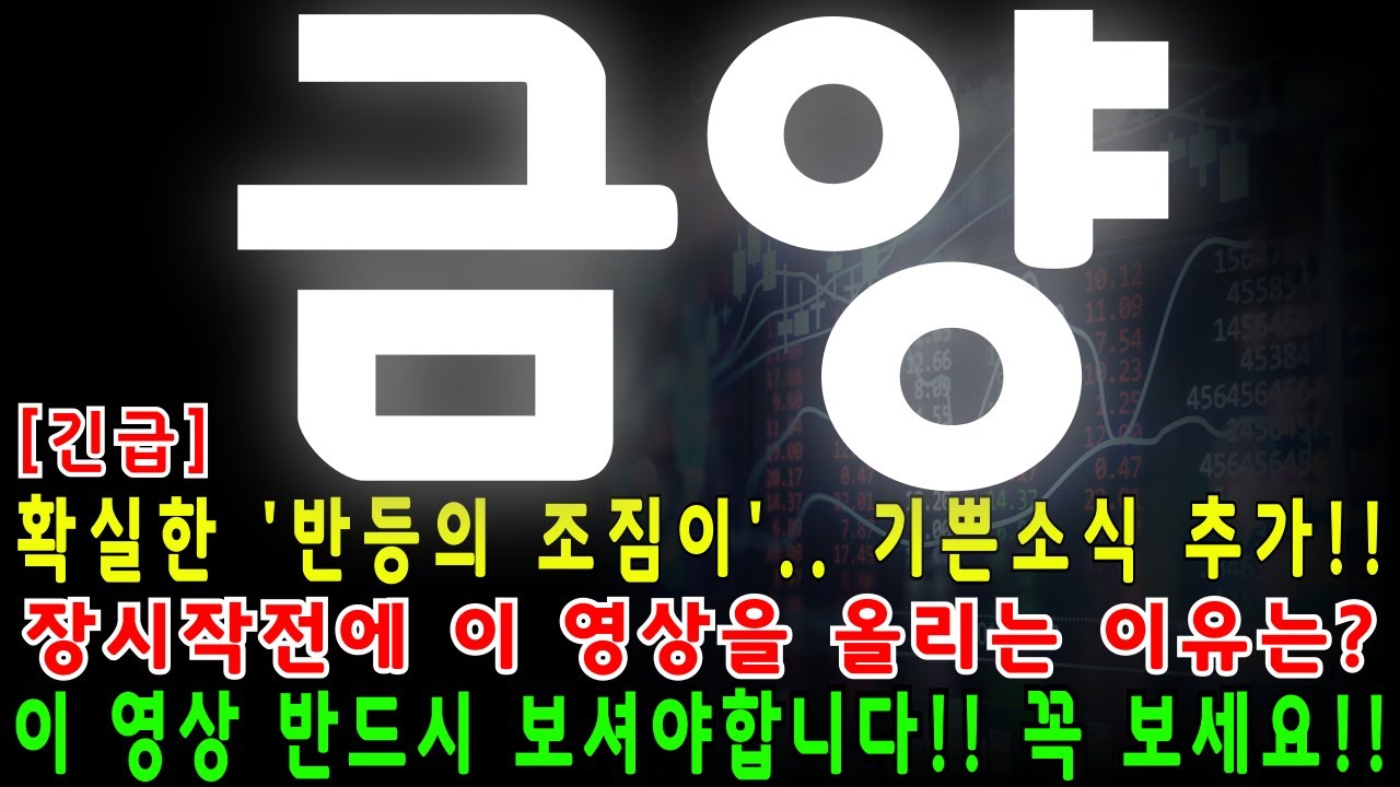 금양 긴급 확실한 반등의 조짐이 기쁜소식 추가 장시작전에 이 영상을 올리는 이유는 이 영상 반드시 보셔야