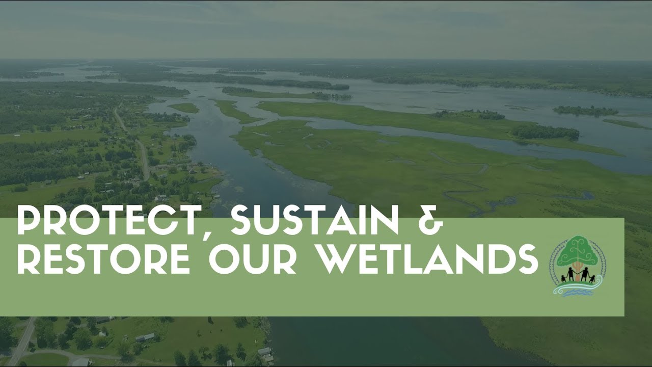 World Wetlands Day — Protect, Sustain & Restore Our Wetlands - YouTube