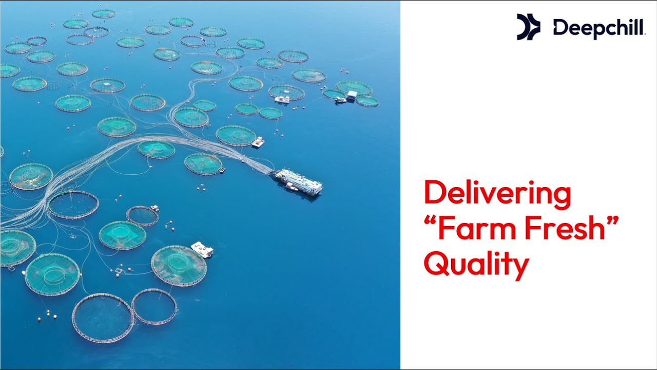 Is Farm Fresh your reality? A Deepchill webinar for fish farmers - YouTube