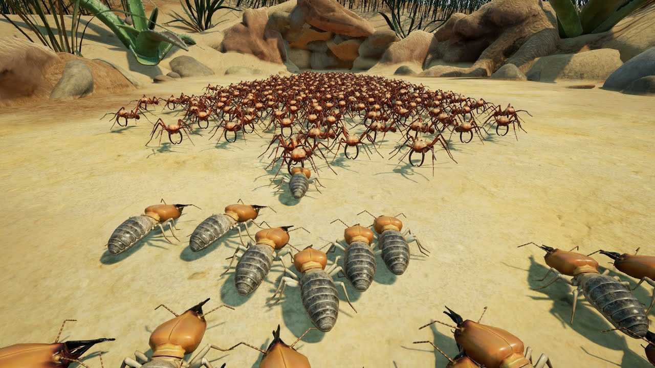 The Great Termite War Empiers of the Undergrowth part 14 - YouTube