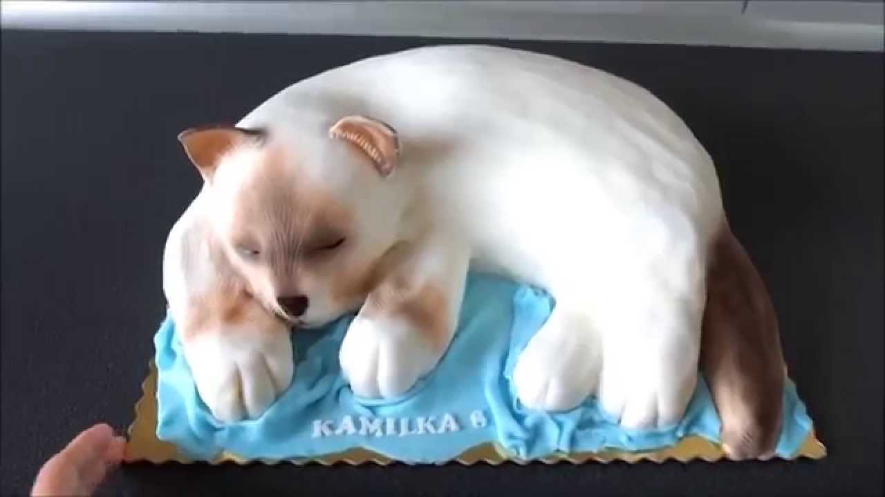 Realistic Cat Cake