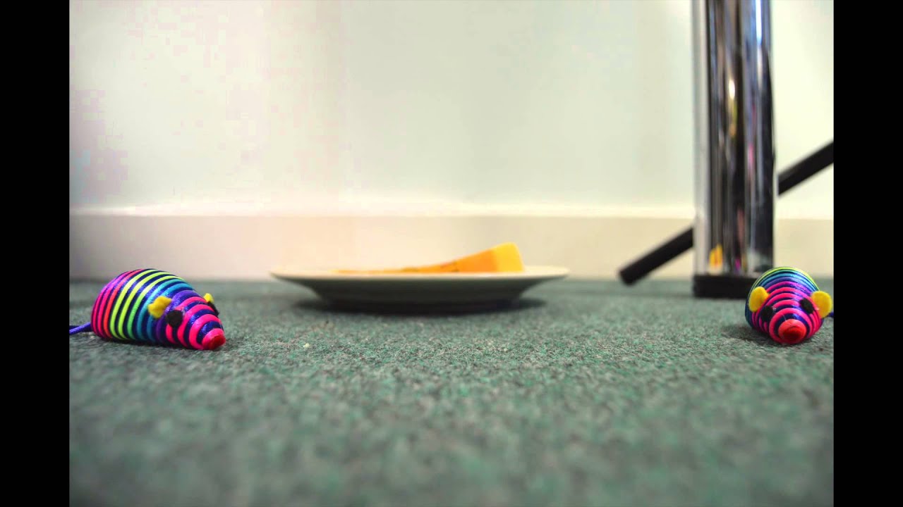 Classical Mouse Animation - YouTube