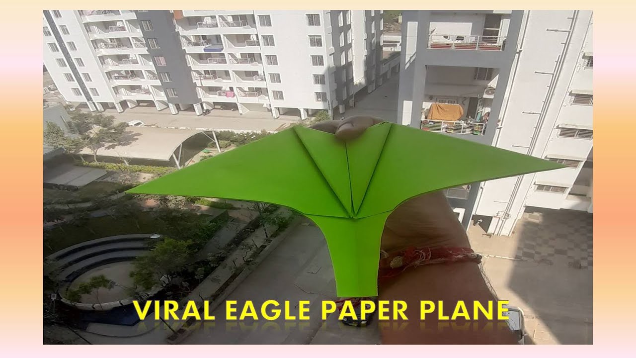 BLACK SPARROW BIRD SHAPED PLANE VIRAL IN INDIA AND CHINA | VIRAL PAPER ...