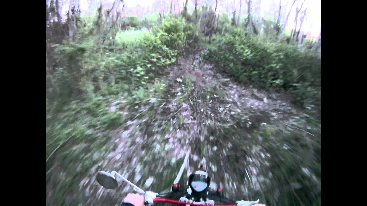 Ct 70 clone trail ride in woods - YouTube