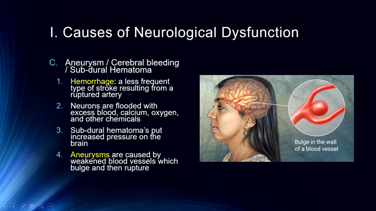 Cog Neuro Lecture #12 Methods: Brain Disorders - YouTube