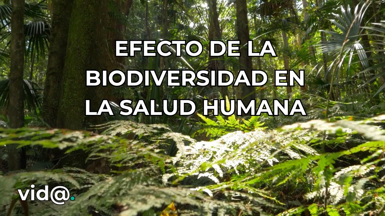¿Sabes cómo afecta la biodiversidad en los humanos? - YouTube