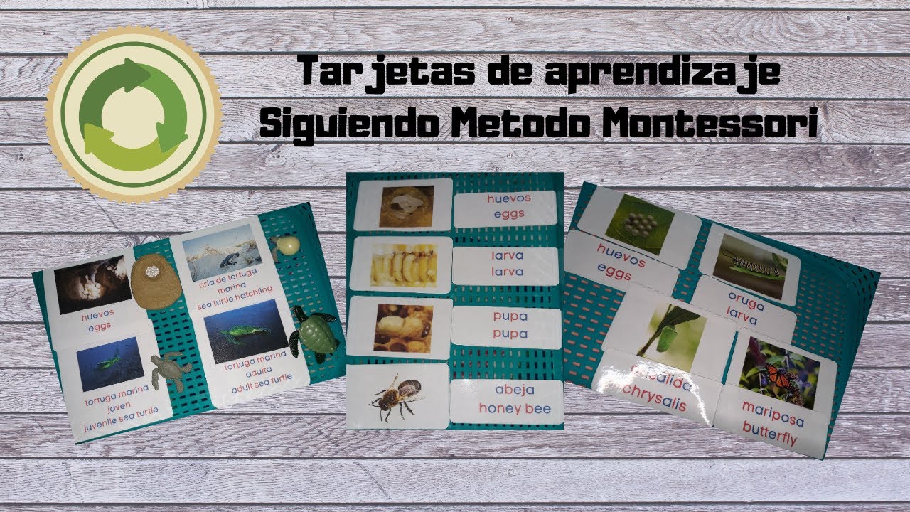 Tarjetas para aprendizaje, siguiendo el metodo Montessori, ciclos de ...