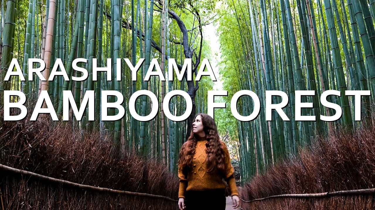 Alone in the Arashiyama Bamboo Forest | Kyoto Travel Vlog - YouTube