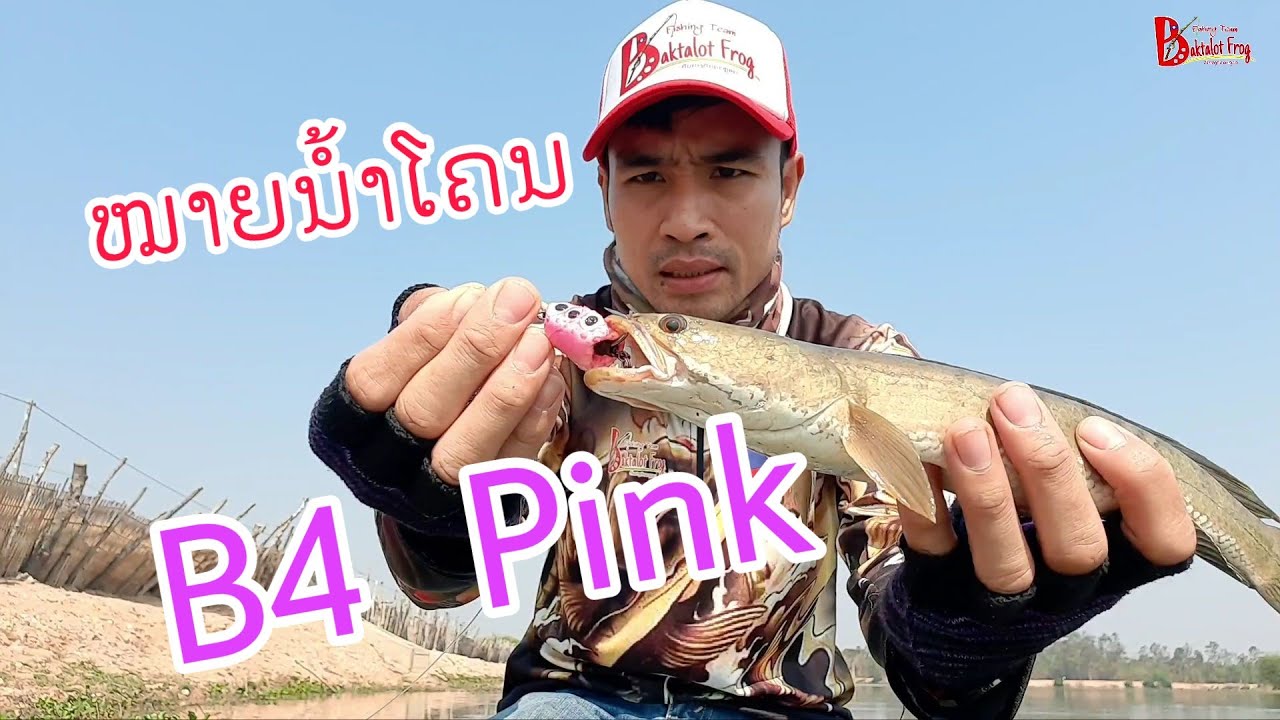 ເຄິ່ງມີຊ່ວງເຊົ້າ ກັບບັກຕະຫລອດ B4 pink - YouTube