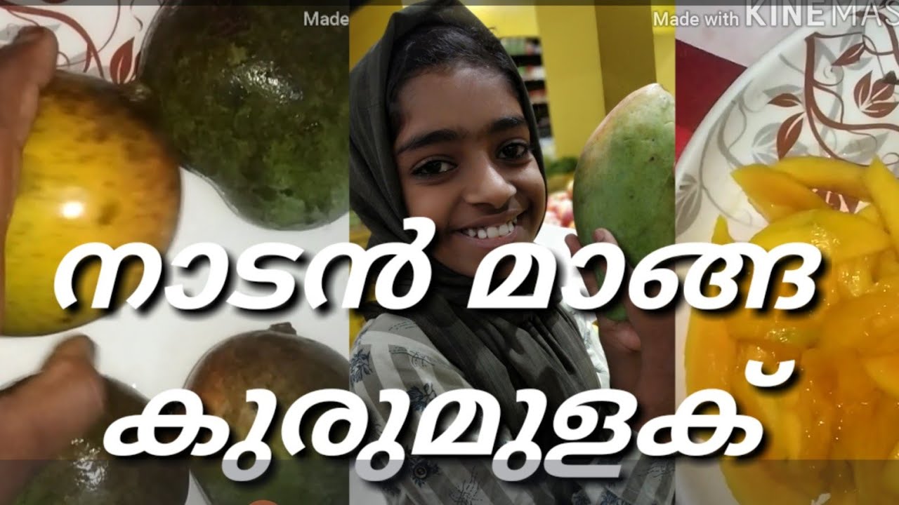 Nadan Mango with pepper mixing,മാങ്ങ കുരുമുളകിട്ടത് June 20 2019 Vlog ...