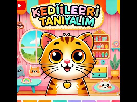 🐱 KEDİLERİ TANIYALIM! | Çocuklar İçin Eğlenceli Kedi Tanıtım Videosu 🎉 🐾🎬 #kediyavrusu  #kedi #cat