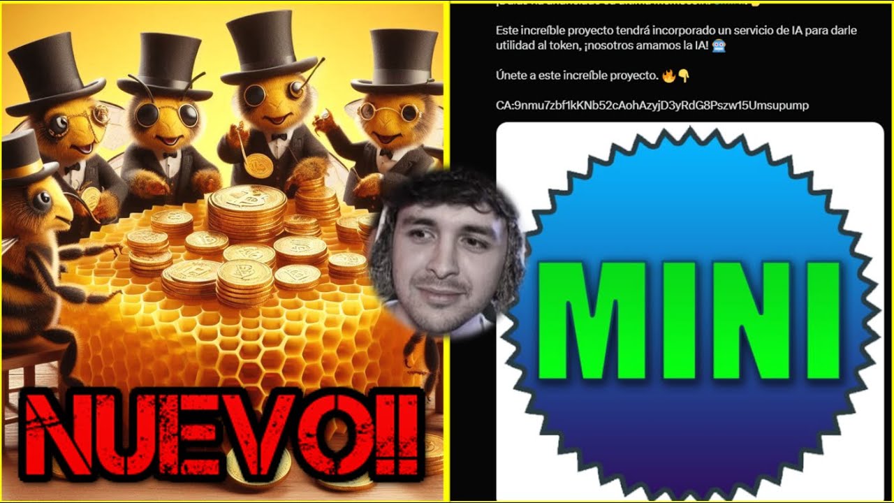 💥EXCLUSIVA!! DALAS SACA SU NUEVA MEMECOIN MINI Y LOS PAMBISITOS SE ...