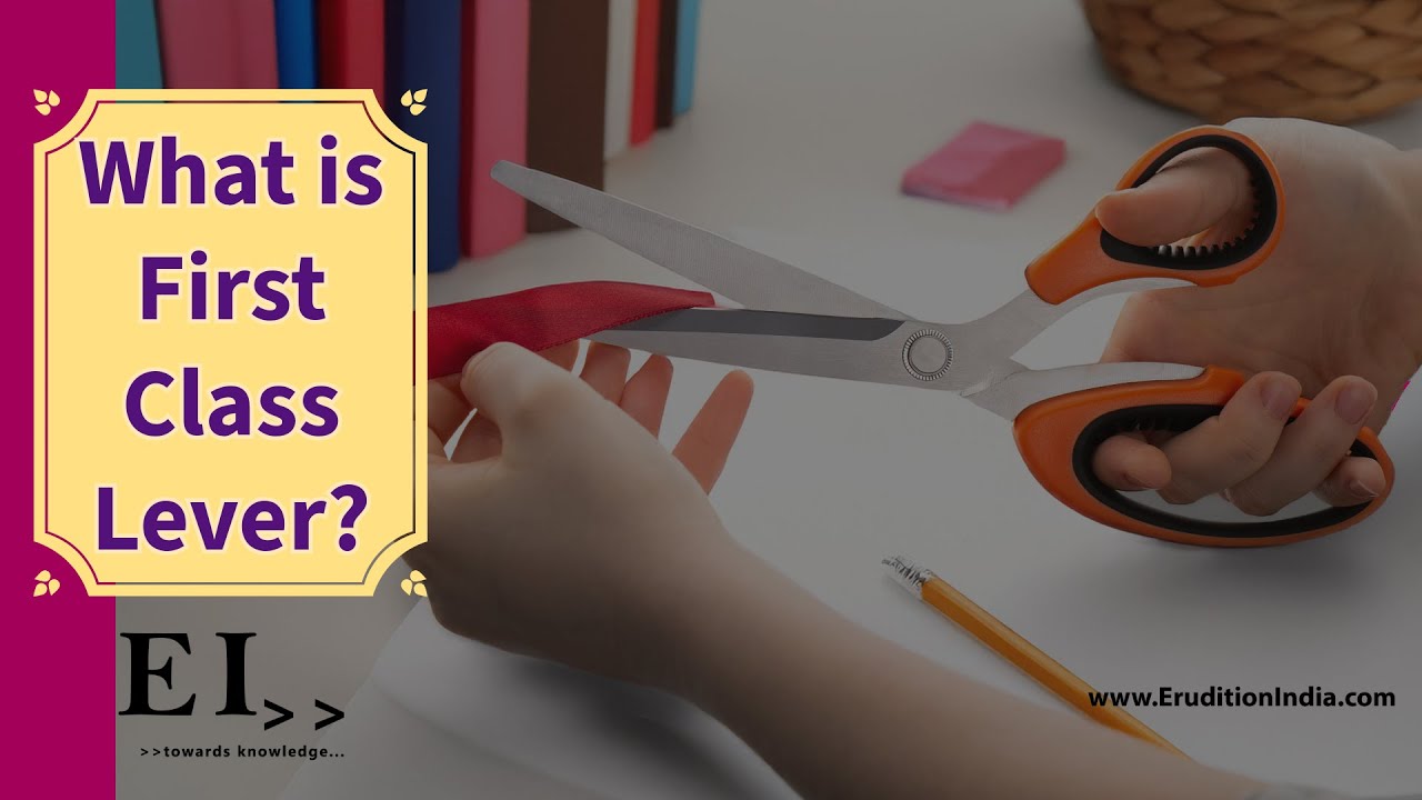 What is a First Class Lever? - Example With Explanation - The Case Of ...