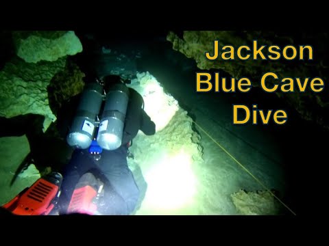Jackson Blue Gold Line Cave Dive - YouTube
