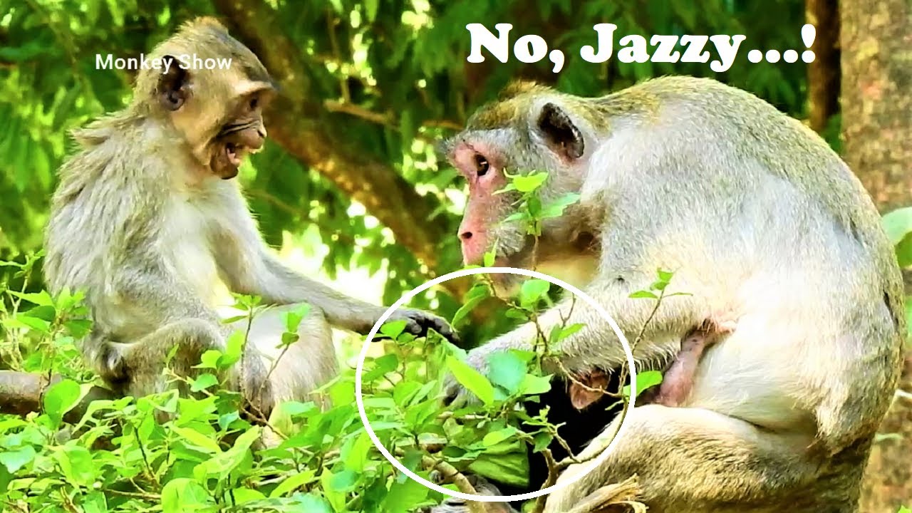 O-M-G-! Jane at-t-a-c-ks Jazzy baby stop ch-e-a-t milk & food more ...