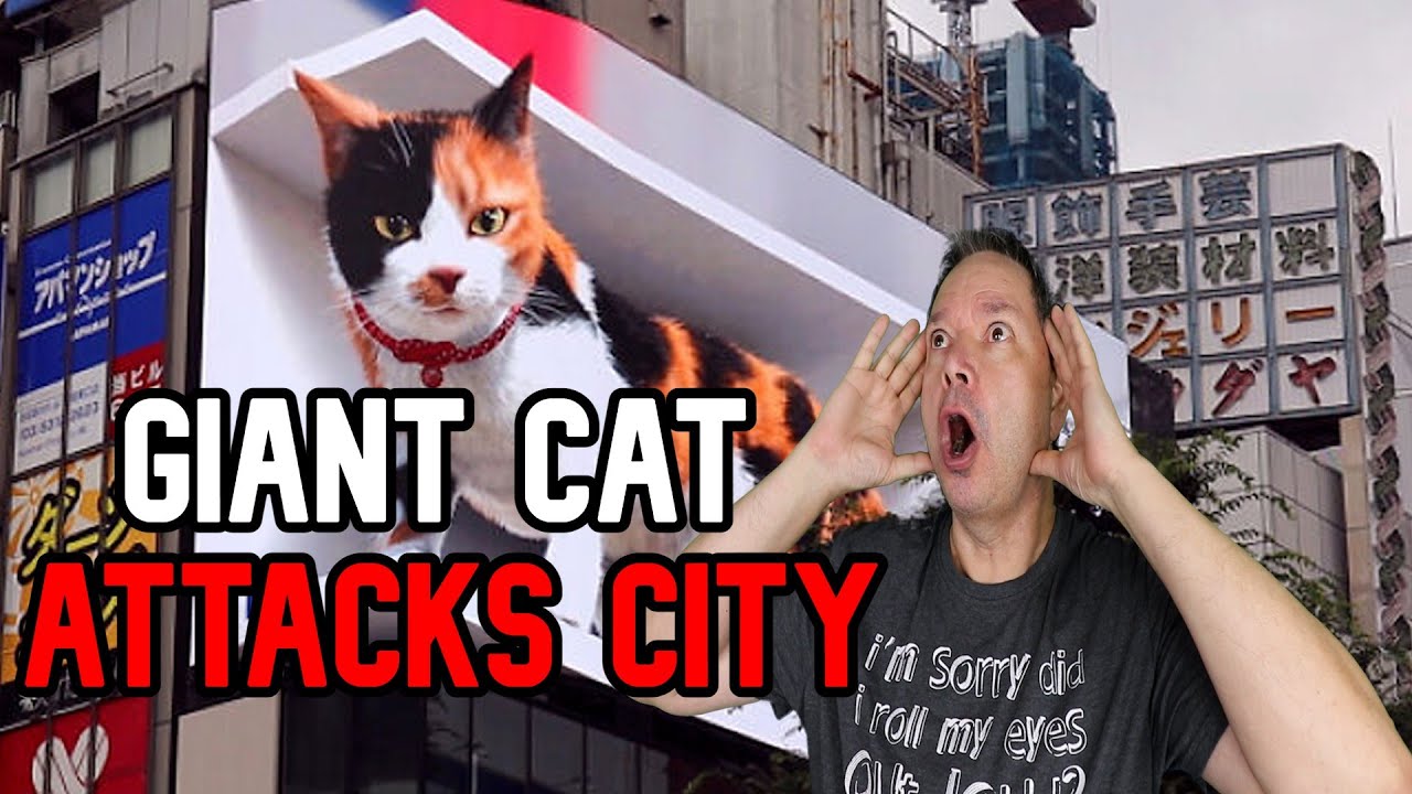 Giant Cat Invades City - YouTube