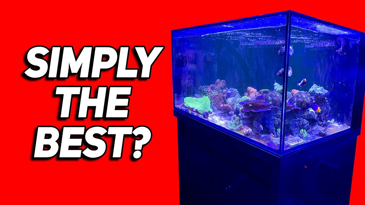 DD Reef Pro 900: The best 3 foot Saltwater Aquarium? - YouTube
