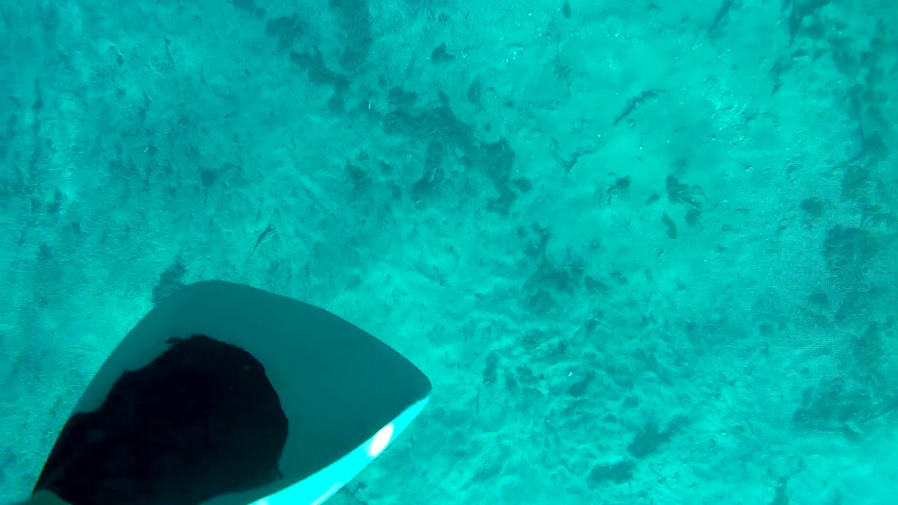 Morrison Springs cave entrance - YouTube