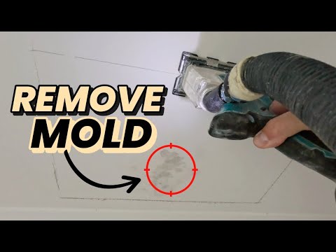 Remove Mold 100% from Drywall Step by Step - YouTube