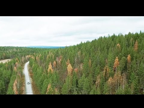 DUDU VALLEY | DUDU BASANTGARH |pk SHARMA - YouTube