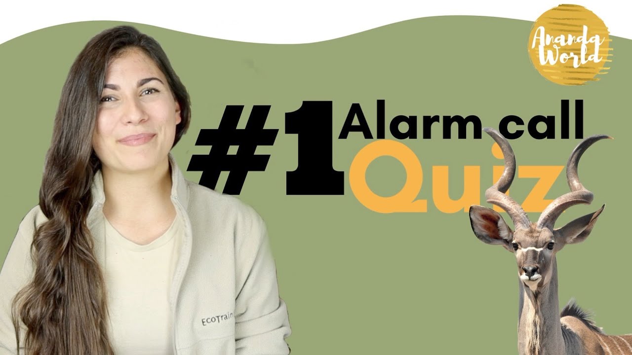 ALARM CALL QUIZ - Your Guide to Guide for Field Guide Students - YouTube